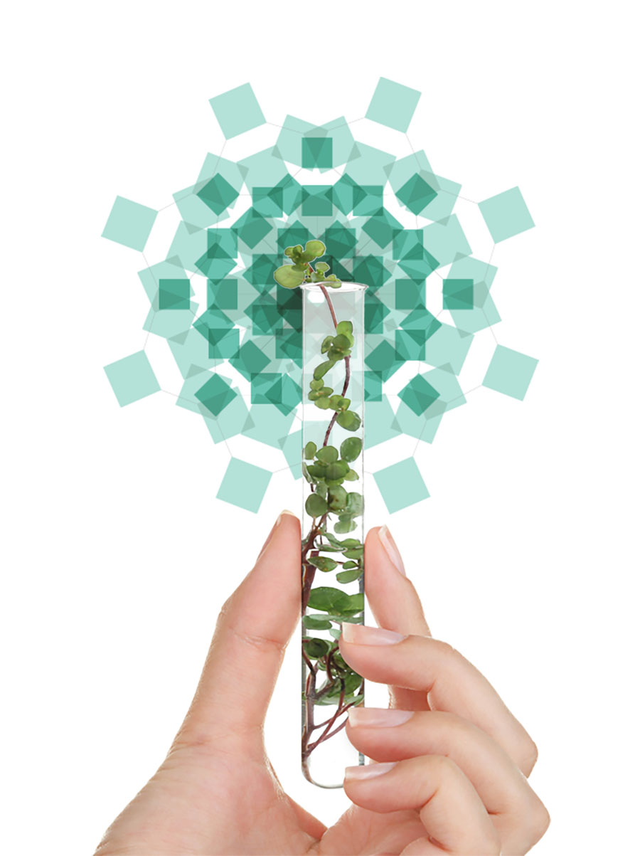 Vebi Istituto Biochimico | Order Sender